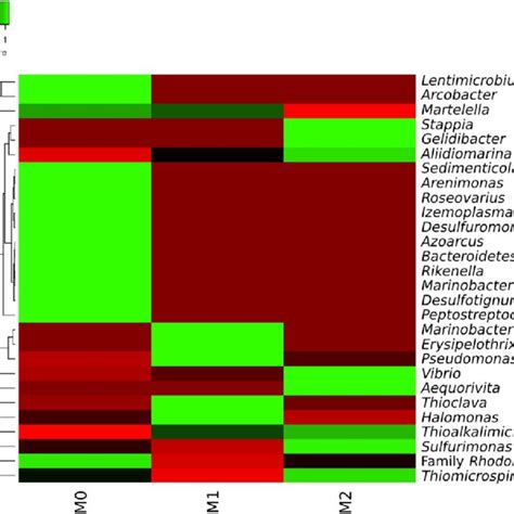 Heatmap Of The Euclidean Distance Clustering Method Of Average Linkage