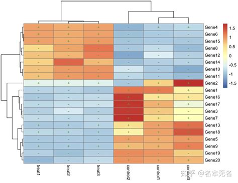 R 数据可视化 —— 聚类热图 Pheatmap 知乎