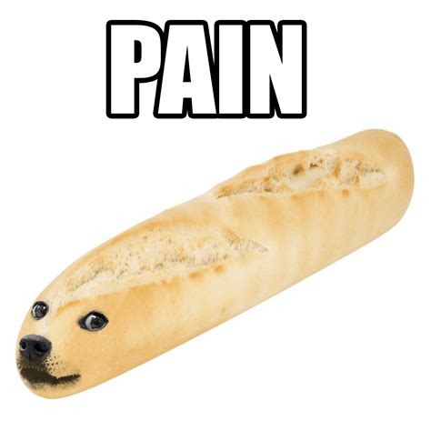 Painhow Do You Manage Pain Doge Bread Pain Hd Template Multiple