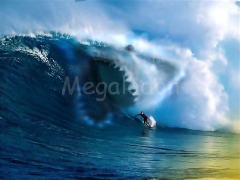 Titanoboa Vs Megalodon Eporner