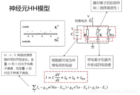 脉冲神经网络 Spiking Yolo Csdn博客
