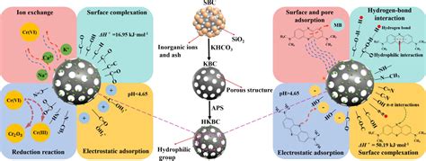 Enhancing Adsorption Efficiency Hydrophilic Sludge Biochar For Cr Vi And Methylene Blue