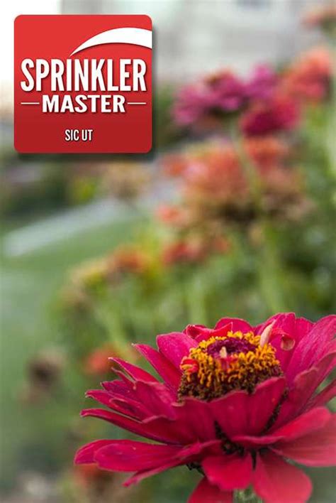 Best Sprinkler Repair Company In Salt Lake