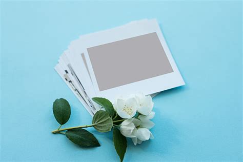 흰색 꽃과 파란색 배경에 인쇄 된 사진 폴라로이드 카드 모형 개념에 대한 스톡 사진 및 기타 이미지 개념 개체 그룹 고풍스런 Istock