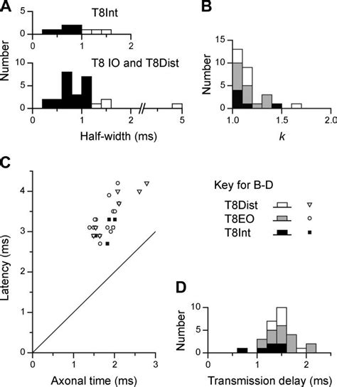 Characteristics Of Cross Correlation Histogram Peaks For T8 Nerves A Download Scientific