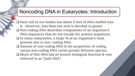 Non Coding Dna Pptx