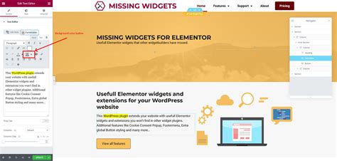 Highlight Text Option In Text Editor Widget Missing Widgets