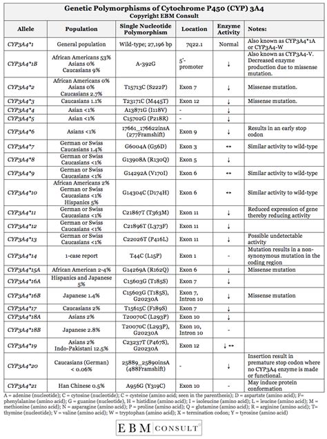 Genetic Polymorphisms Of The Cyp3a4 Enzyme And Potential Influence On