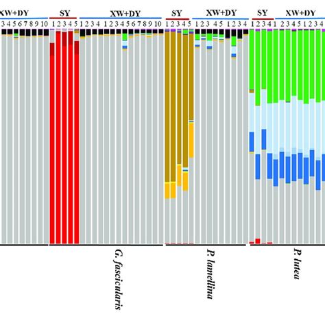 Bar Plot Of The Relative Abundance Of Different Symbiodinium