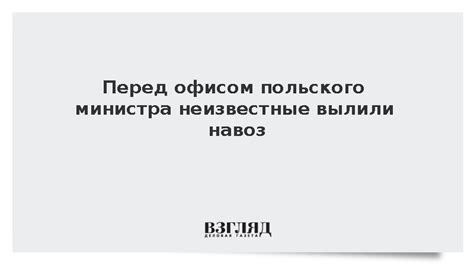 ВЗГЛЯД Перед офисом польского министра неизвестные вылили навоз Новости дня