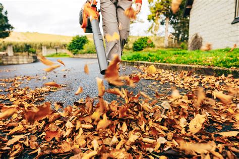 7 Best Leaf Blowers 2024 Guide This Old House