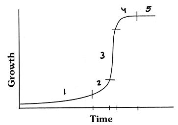 Sigmoid Growth Curve Growt H Curves S Shaped Or Sigmoid Described