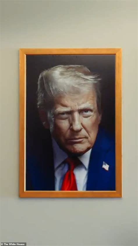 White House Reveals Brand New Official Trump Portrait With Very Telling