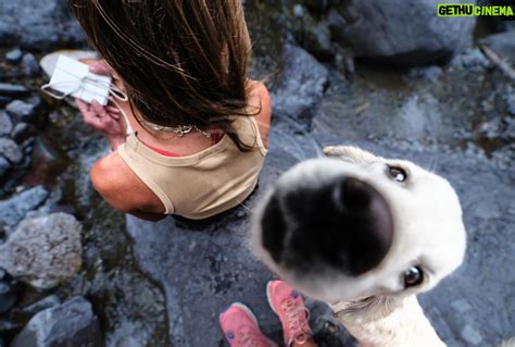 Taylor Rees Wiki Biography Age Gallery Spouse And More