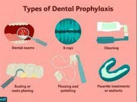 Prophylactic Treatment Services In Malappuram