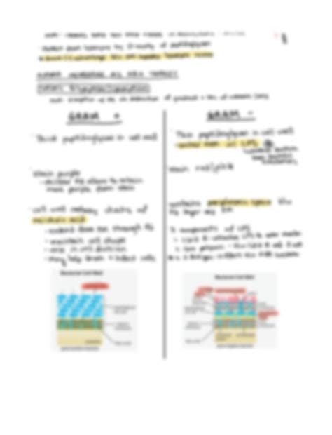 SOLUTION Bacterial Cell Structure Notes Studypool