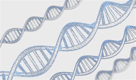 Dna Double Helix Illustration Nucleic Acid Structure Diagram