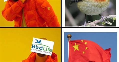 Uk Based Birdlife International Boots Taiwan Bird Conservation Group Possibly Due To Pressure