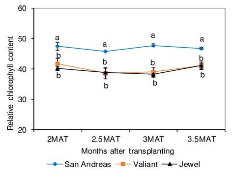 Relative Chlorophyll Content Of Strawberry Leaves From 25 Months To
