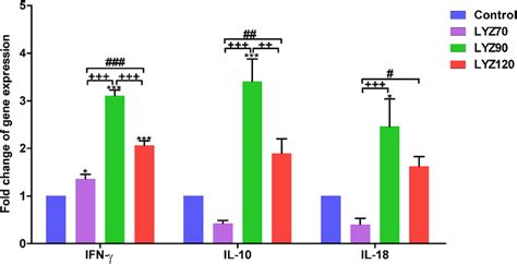 Reverse Transcription Polymerase Chain Reaction Rt Pcr Validation Of