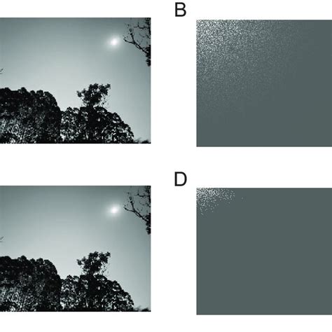 A Original Image B Coefficient Matrix Under Discrete Cosine
