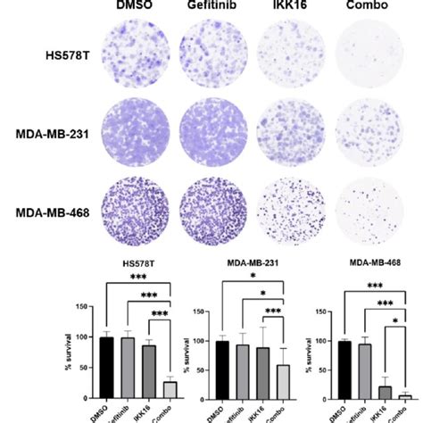 Inhibition Of Signaling Pathways By The Gefitinibikk16 Combination In