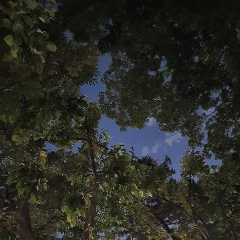 지나 일기장♡ Nanalifediary • Threads Say More