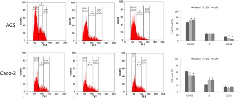 Flow Cytometric Cell Cycle Analysis Of Ags And Caco 2 Cells After 24 H
