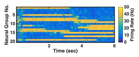 Paul Miller Faculty Department Of Biology Brandeis University