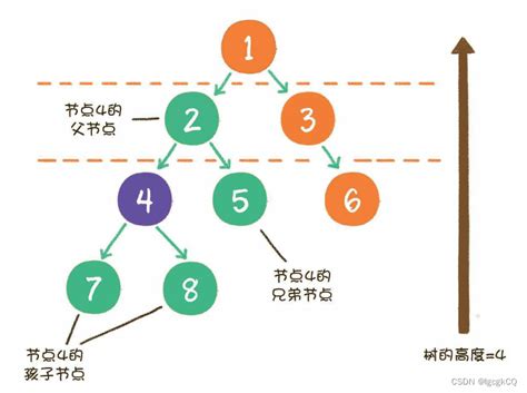 数据结构与算法：树叶子节点处于末端吗 Csdn博客