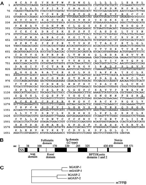 Gasp 1 Is A Multivalent Protease Inhibitor A Cdna And Protein Sequence Download Scientific