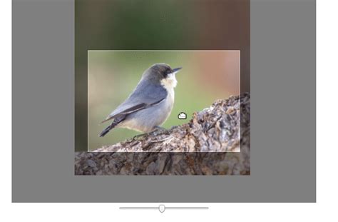 Using Docker Compose In Bitbucket Pipelines By Iván Perdomo Magnet