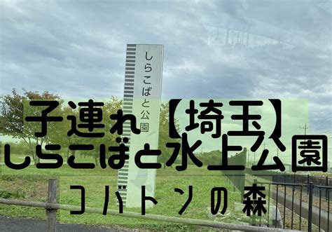 りーママ日記 子連れ旅行・お出かけ・お得大好き2児ママです♪マイル勉強中