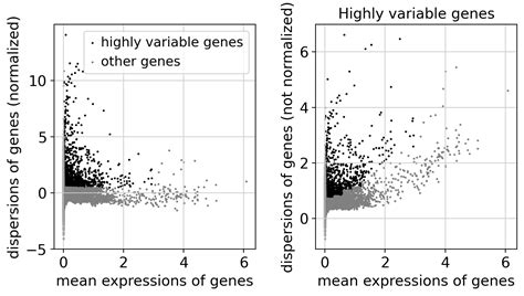 Preprocessing Scrna Seq Data With Scanpy Science In Motion