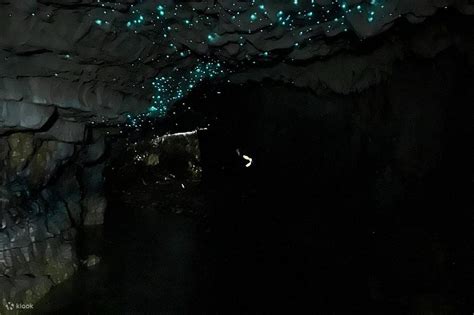 Waitomo Glowworm And Cave Explorer Small Group Tour From Auckland Klook