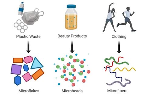 All Types Of Microplastics You Should Know