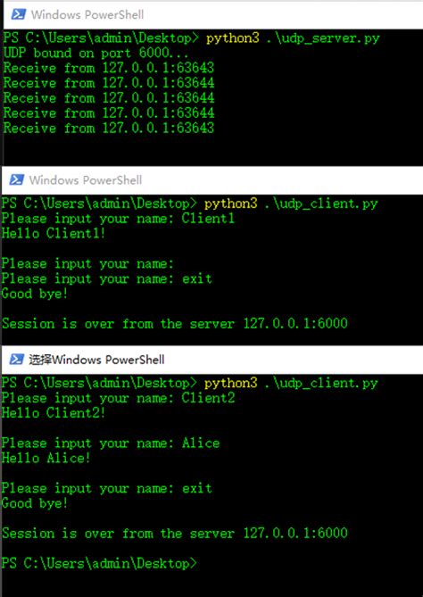 Python 绝技 —— Udp 服务器与客户端 Python Udp客户端