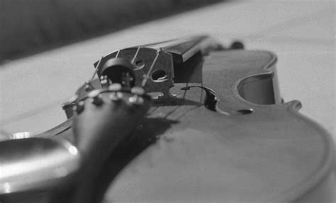 Viola By Rhee Tard On Deviantart