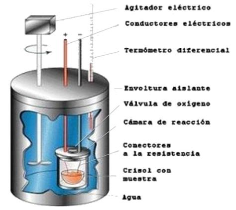 Esquema Del Calorímetro De Bomba Download Scientific Diagram