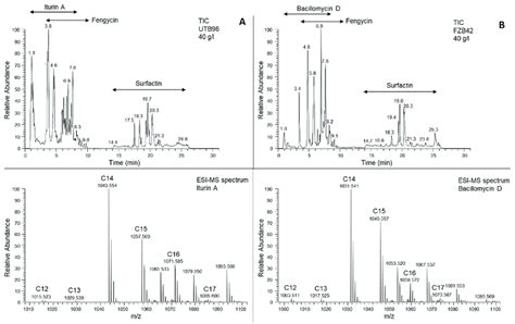 Lc Esi Ms Analysis Of The Lipopeptide Compounds Produced By The B Download Scientific Diagram