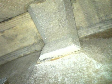 Fake Violin Label The Pegbox Maestronet Forums