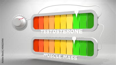 Body Condition And Testosterone Meter Scales The Muscle Mass Level