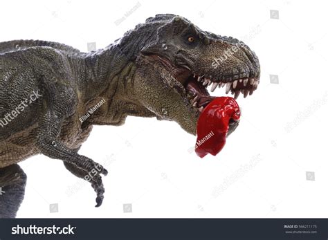 Tyrannosaurus Rex Eating Meat Four And One More Meat Eating