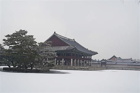 [사진] 눈 오는 날 경복궁 아름다워요 오마이뉴스