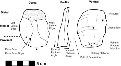 Lithics Basics Chapter 2 Stone Tools In The Paleolithic And