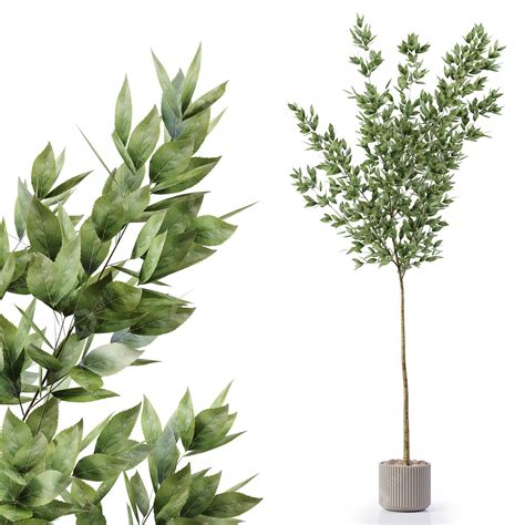 Растения в горшках Набор для помещений 3d модель Greatcatalog 48299