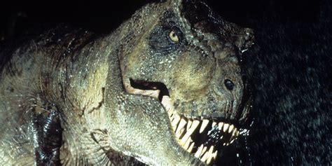 How Strong Was A Tyrannosaurus Rex Bite Business Insider