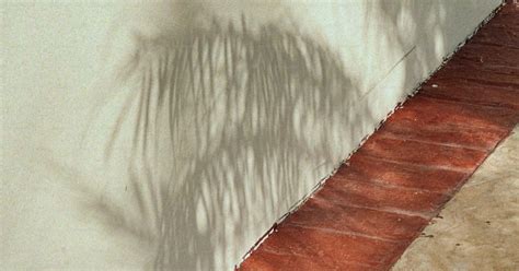 흰 벽 옆에 앉아 있는 빨간색과 흰색 소화전 사진 Unsplash의 타일 이미지