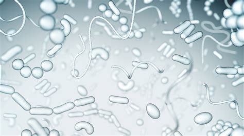 Ultra Deep Long Read Nanopore Sequencing Of Mock Microbial Community