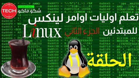 Basic Linux Commands part2 Arabic Ep11 تعليم اوليات أوامر لينكس